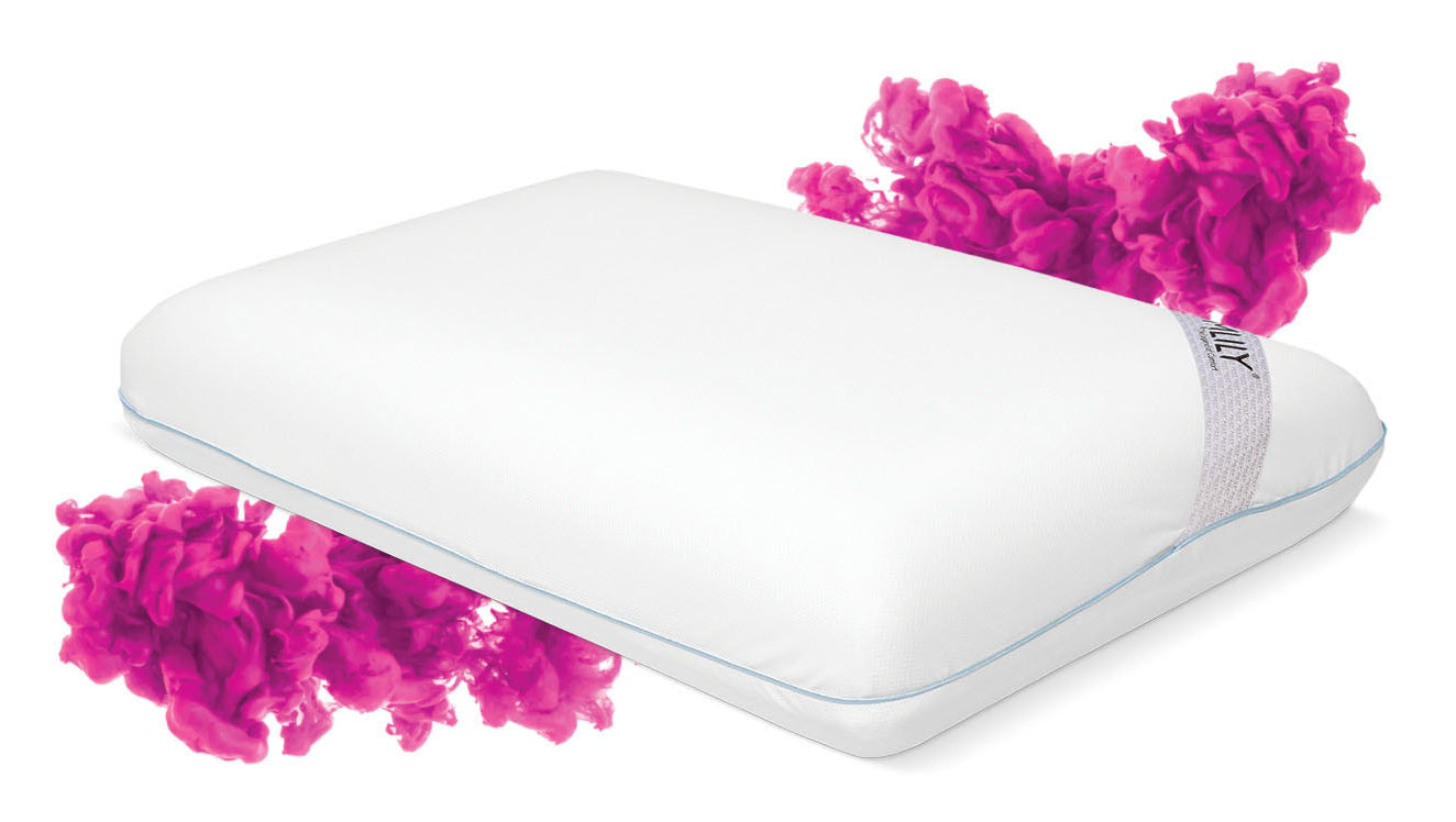 Mlily Bliss Pillow – Ballam Furniture/La-Z-Boy Comfort Studio